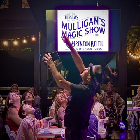 Shows & Events | Mulligans On The Blue